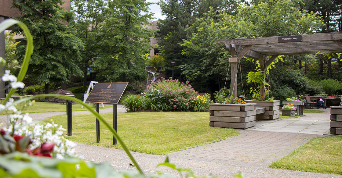 The gift that keeps on growing: Support the QEII Veterans Memorial Garden this Father’s Day ...